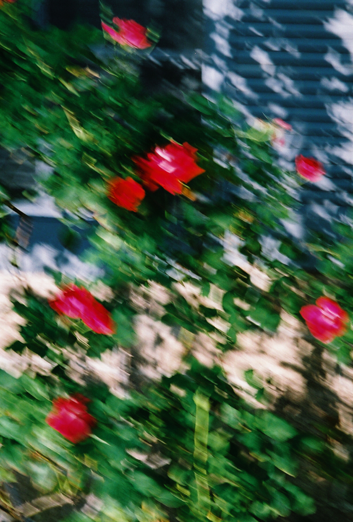 Xhbtr 8c84cd75 4e5b 49bc 8271 63a50609190d W1200 Jpg