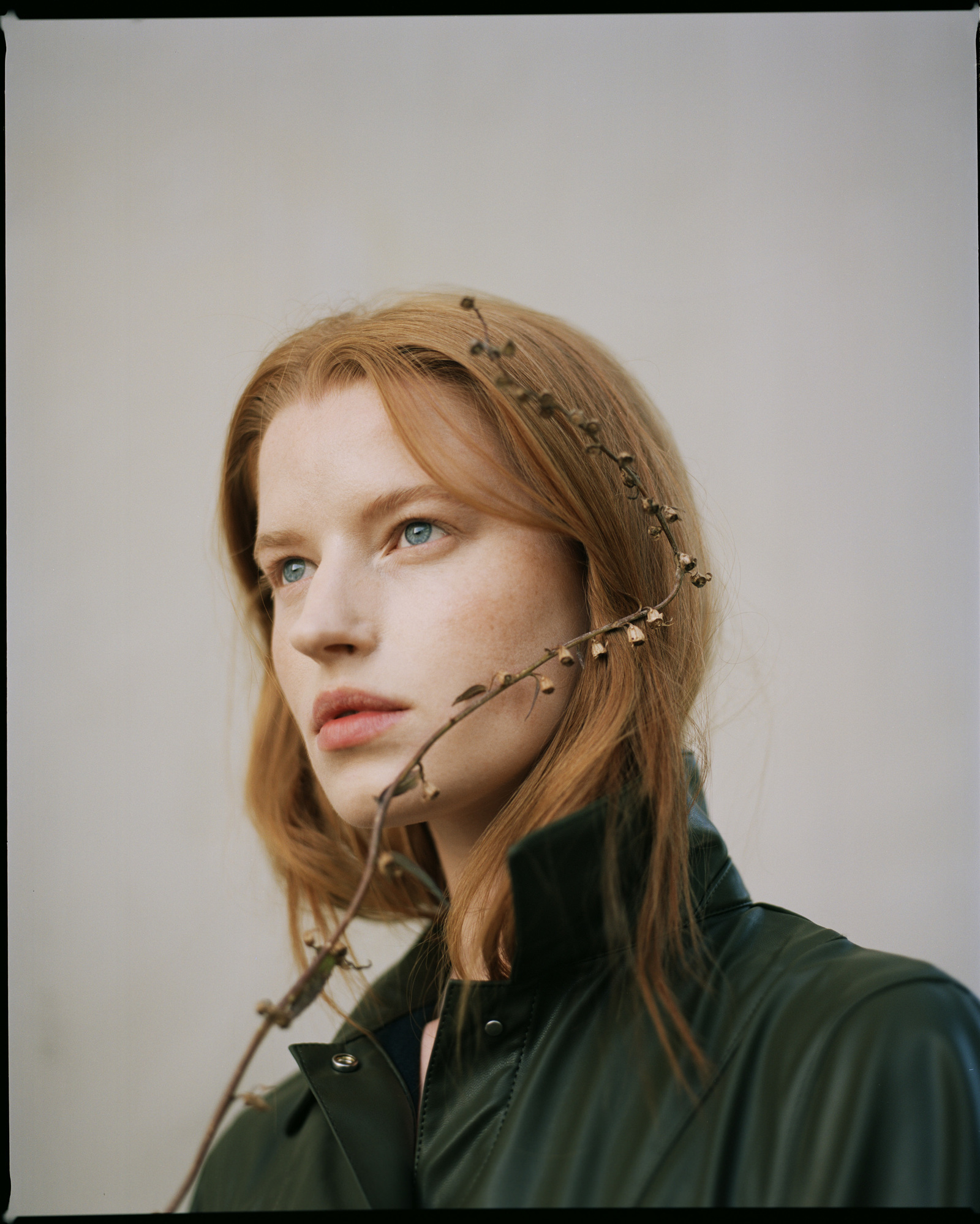 portraits