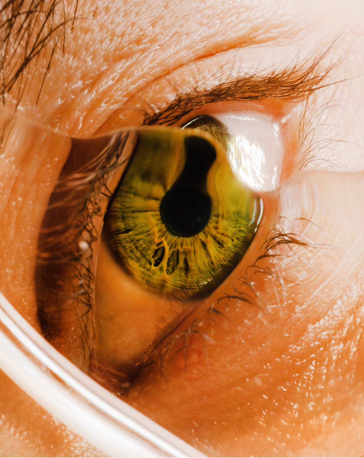 @whoos-to-know on Tumblr