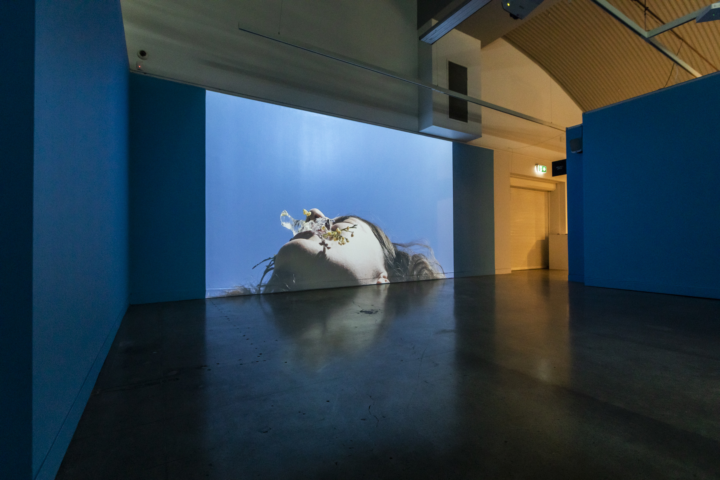 Jazz Money, Crush, 2021 . Installation view: Textbook for Desire at ...